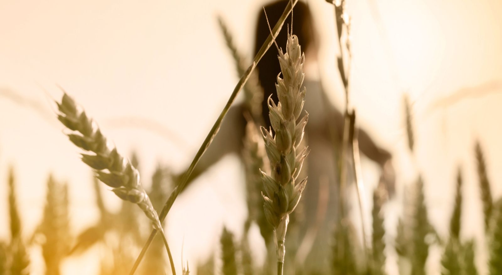 Neumond in der Jungfrau: Dein Mond Guide für den 3. September | happinez